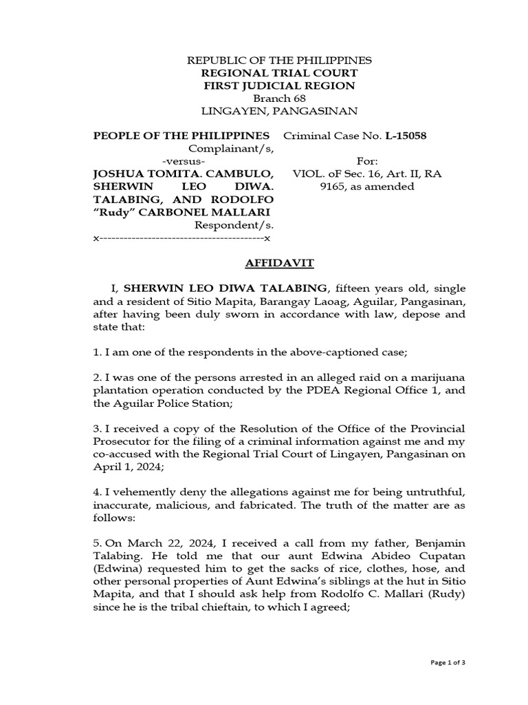 Counter Affidavit-Sherwin Talabing | PDF | Affidavit | Justice
