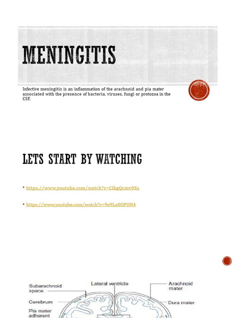 Meningitis final version | PDF | Meningitis | Pathogen