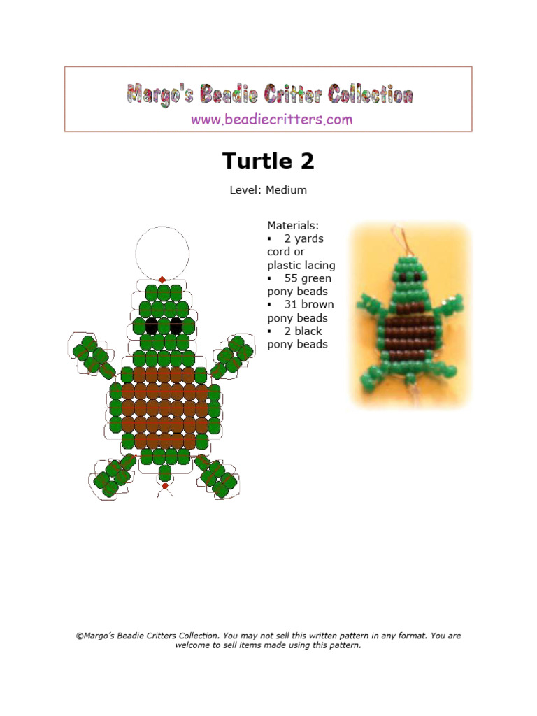 Turtle 2 | PDF