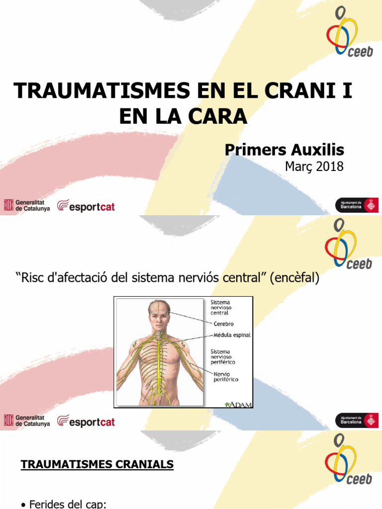 1 - Traumatismes Crani I Cara | PDF
