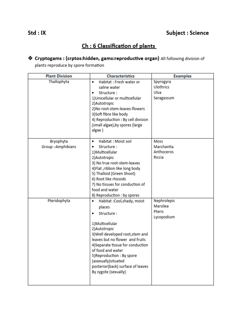 CH 6 Classification of Plants | PDF | Plants | Seed
