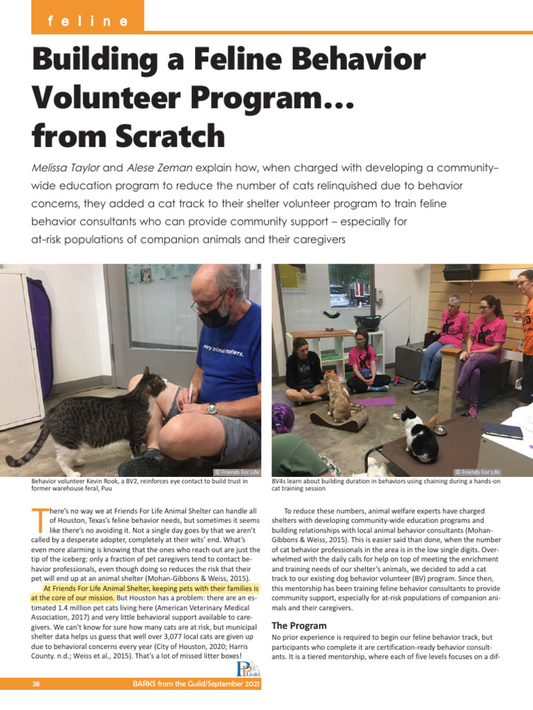 Building A Feline Behavior Program From Scratch | PDF | Cats | Animals ...