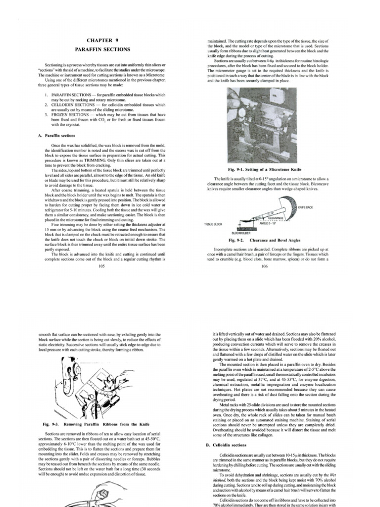 Paraffin Section | PDF