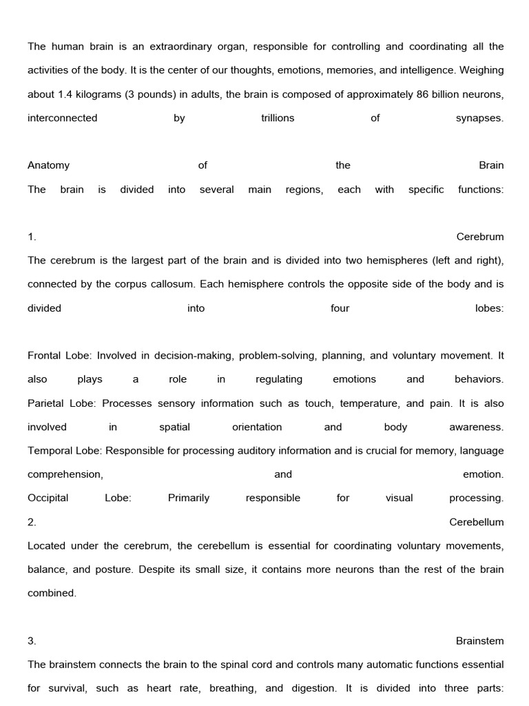 PDF 2 | PDF | Cerebrum | Brain