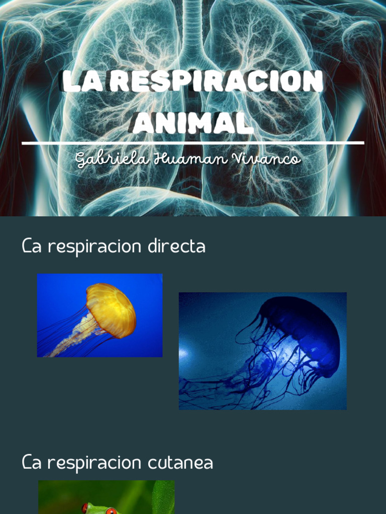 La Respiracion Animal | PDF