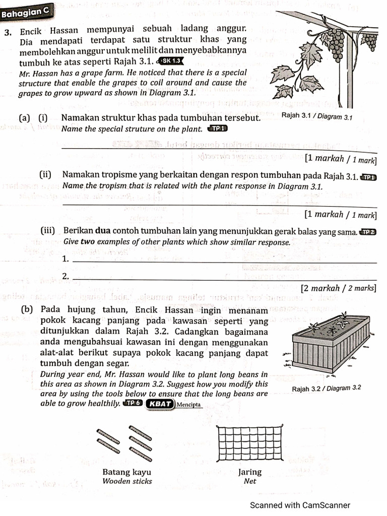 PT3 F3 Science Chapter 1 Question Section C | PDF