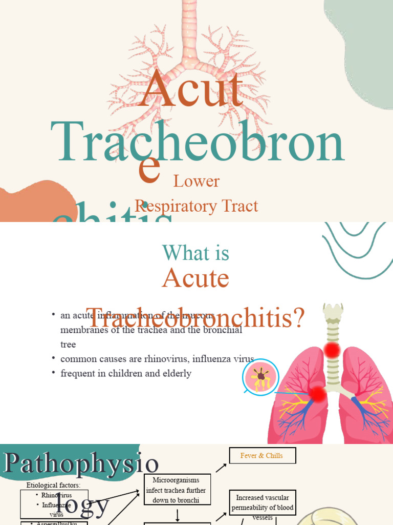 Acute Tracheobronchitis | Download Free PDF | Pneumonia | Bronchitis