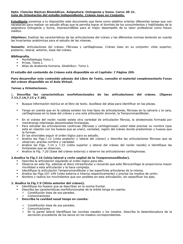 Guía Cráneo En Conjunto Pdf Pdf Cráneo Articulación