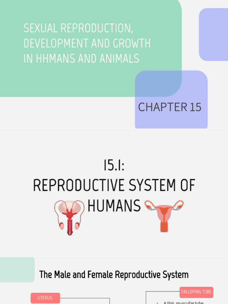 Chapter 15 Sexual Reproduction, Development and Growth in Humans | PDF ...