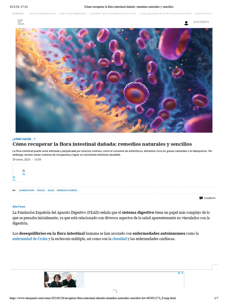 Cómo Recuperar La Flora Intestinal Dañada Remedios Naturales y ...