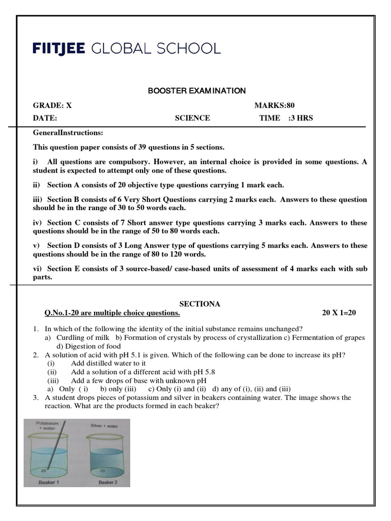 G10 Booster Exam Science Set A | PDF | Reproduction | Chemical Reactions
