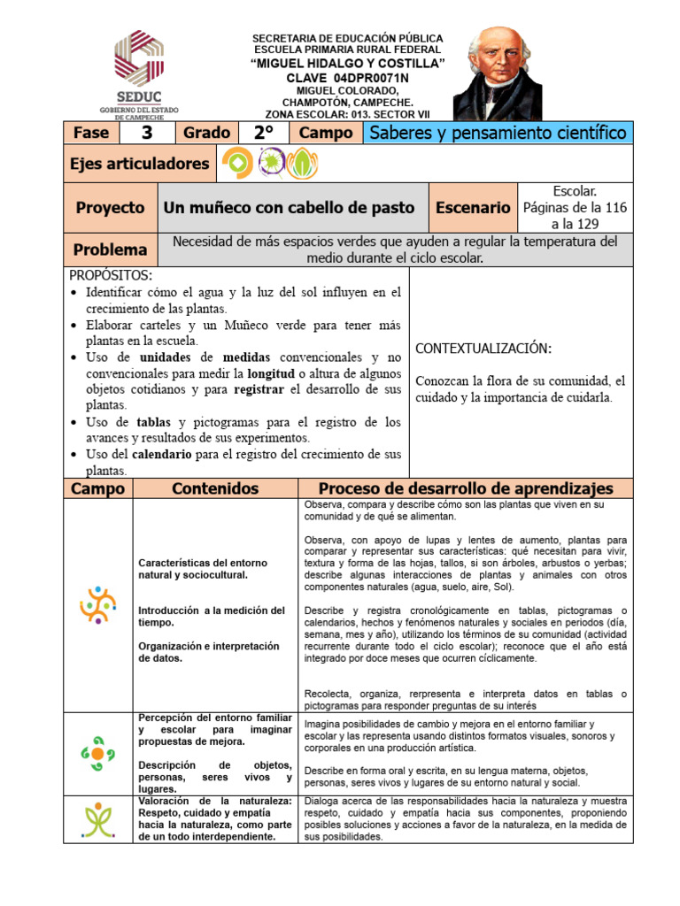 Proyecto: Muñeco con Cabello de Pasto | PDF | Plantas | Educación primaria