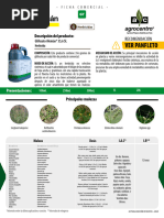 Ficha Tecnica Bullgrass 30.4 SL | PDF | Plantas | Botánica