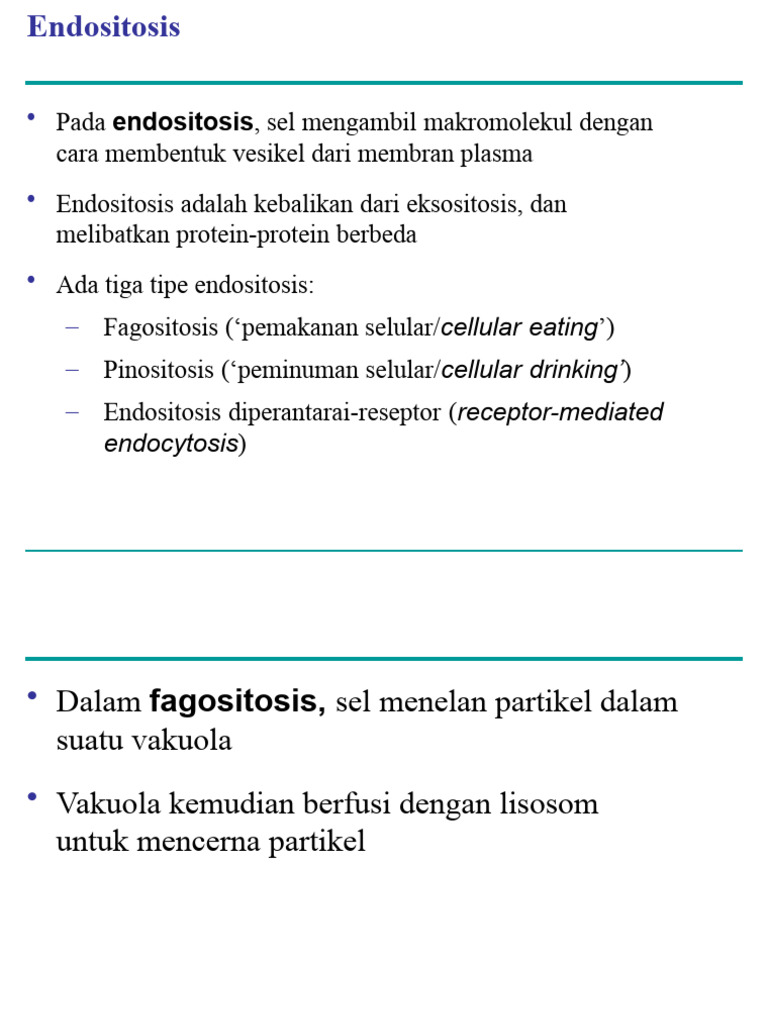 Endositosis | PDF