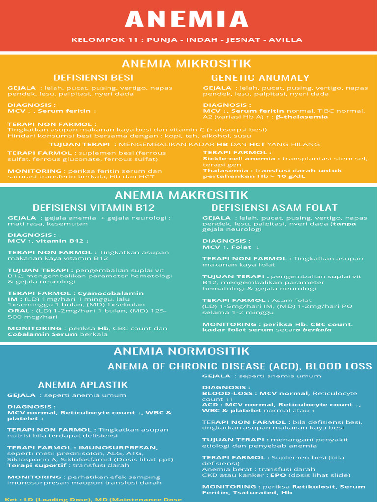 Overview Anemia | PDF