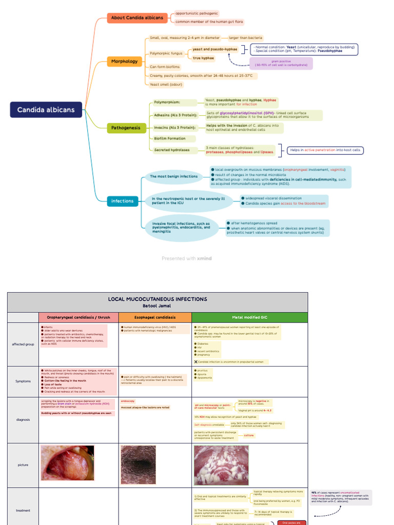 Local and Systemic Fungal Infections - 240510 - 113637 - 240510 - 113456 2 | PDF | Candidiasis ...