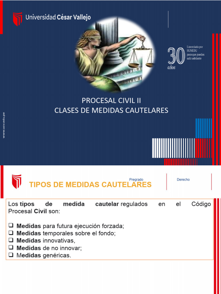 Presentación 9 Tipos de Medidas Cautelares | Descargar gratis PDF ...