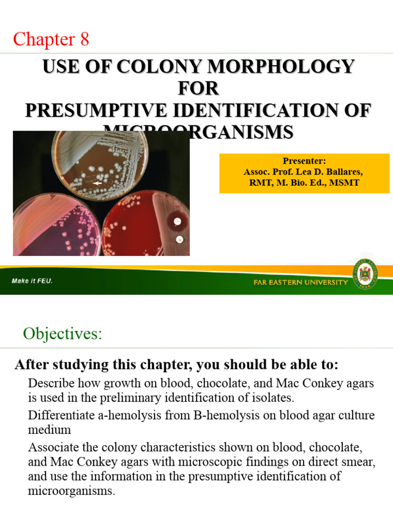 Micro 1 Chapter 8 | PDF | Growth Medium | Streptococcus