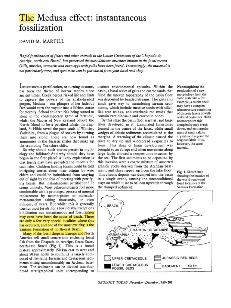 The Medusa Effect, Instantaneous Fossilization - David M. Martill | PDF ...