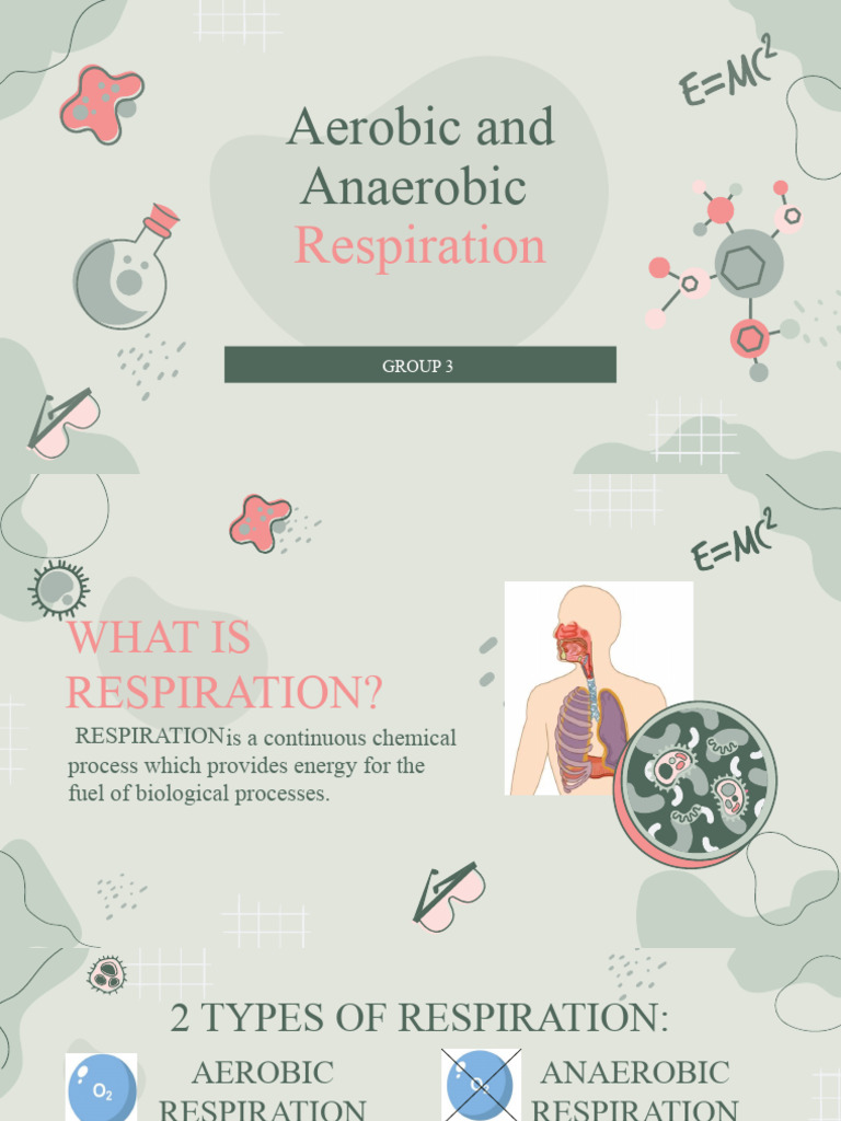 Aerobic vs Anaerobic Respiration Explained | PDF | Cellular Respiration ...