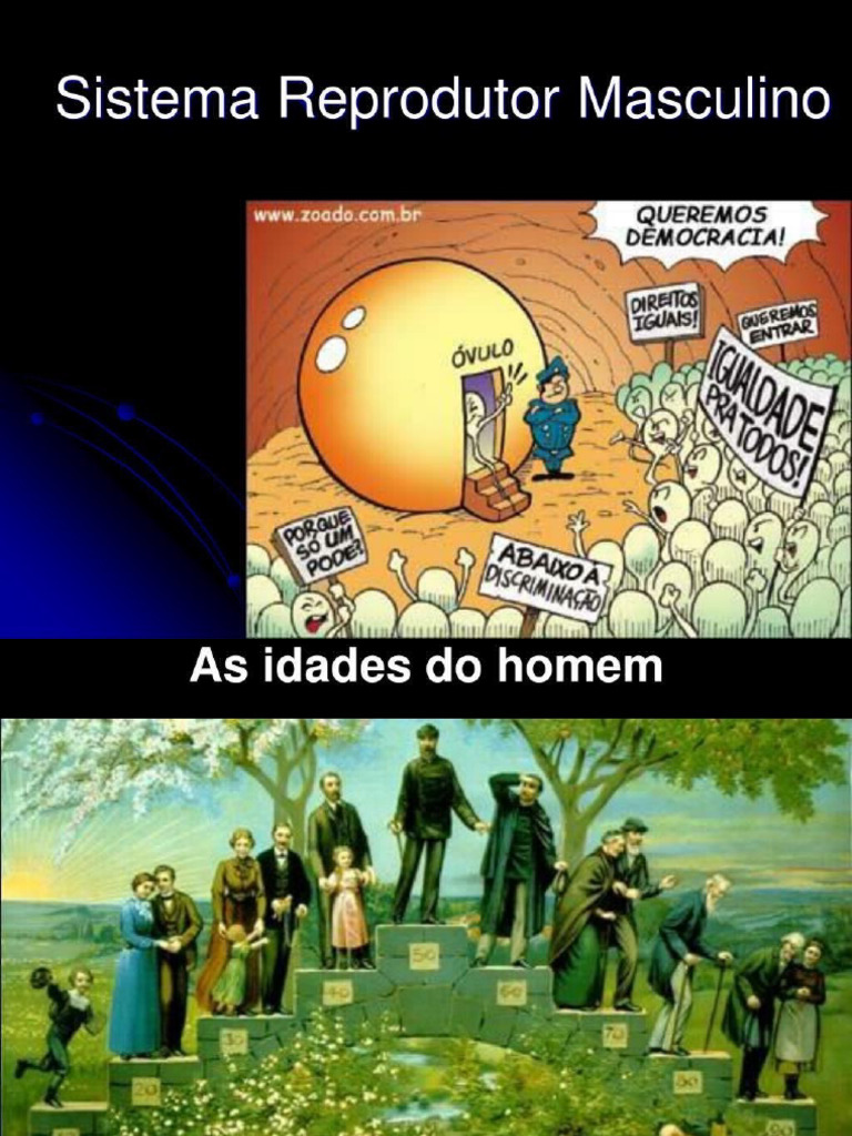 Sist. Masc X Fem | PDF