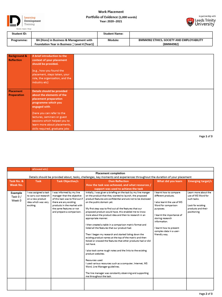 Example Task - BMM4982 - Placement Portfolio of Evidence | PDF ...