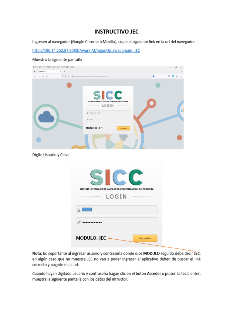Instructivo JEC - APLICATIVO | PDF