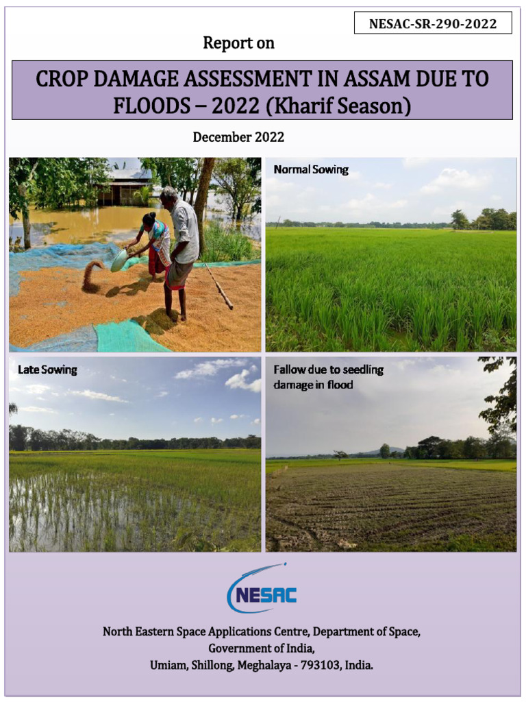 Assam Floods 2022: Crop Damage Report | PDF | Flood | Earth Sciences