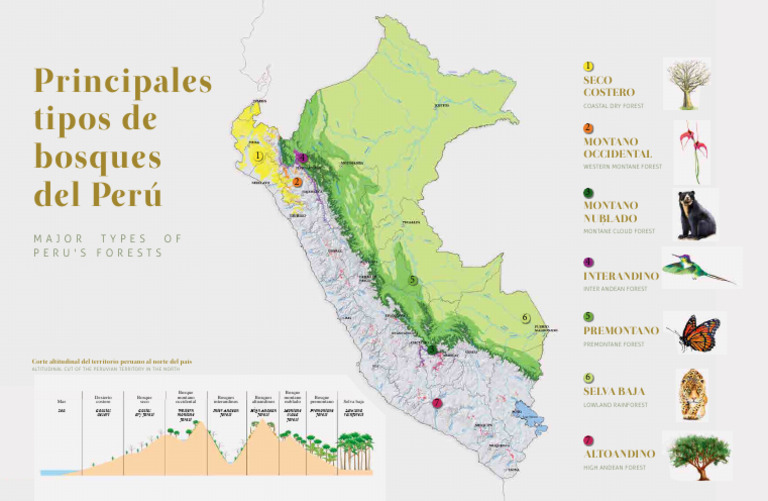 Mapa de Bosques Peruanos | PDF | Ciencias de la Tierra | Manejo de ...