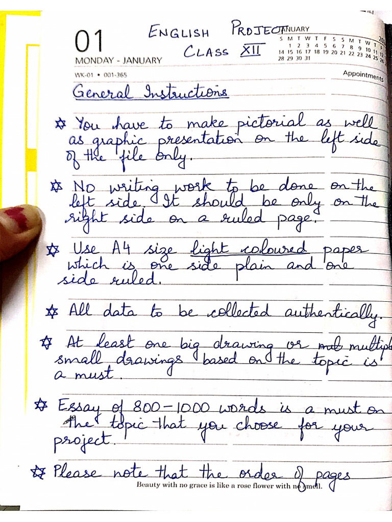 Practical File 12 Eng | PDF