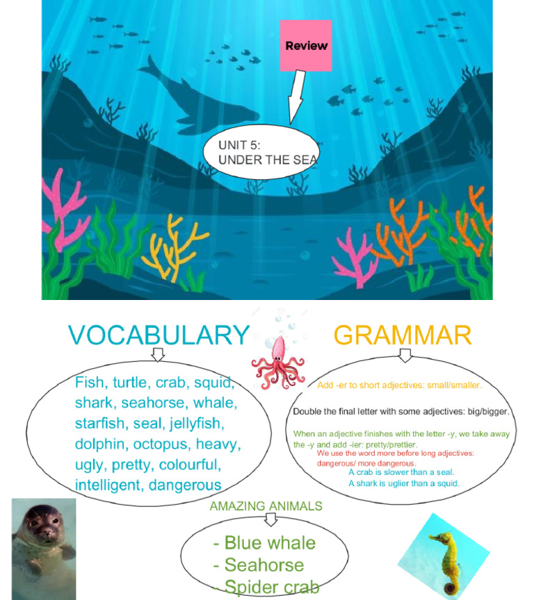 Unit 5_ Under the sea | PDF