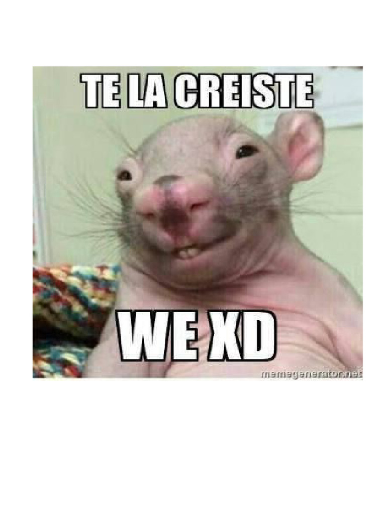 Reportes 1,2,3 y 4 - Safe Assign | PDF