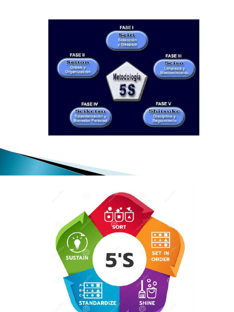 Programa 5 S | PDF | Negocios | Tecnología