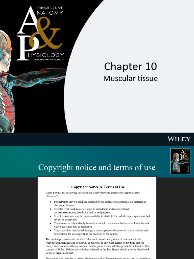 Tortora Aus3e ch10 | PDF | Muscle Contraction | Muscle