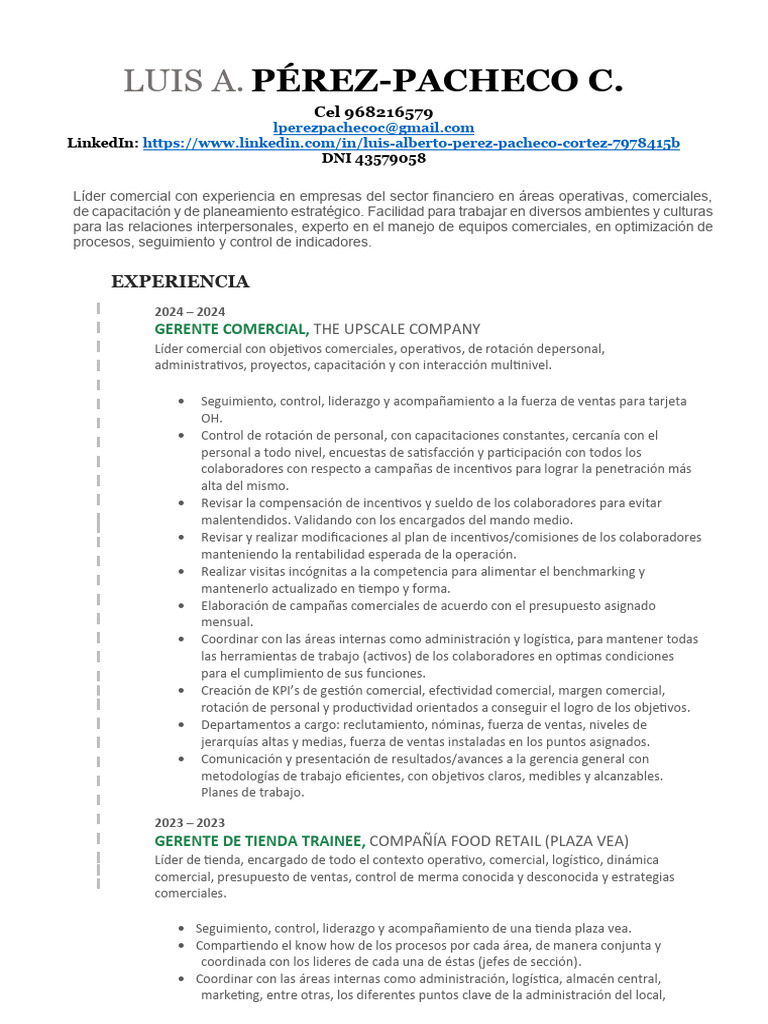 Documentos CV | PDF | Logística | Marketing