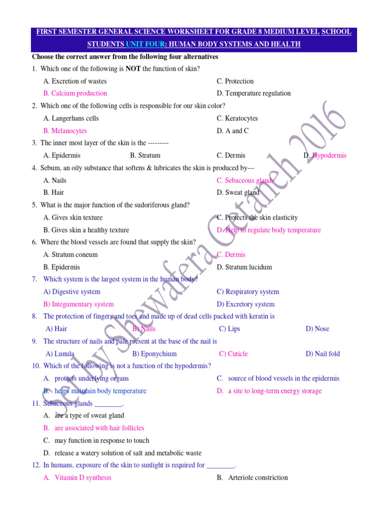 Worksheet GS Grade 8 Unit 4 Questions With Answers | PDF | Menstrual ...