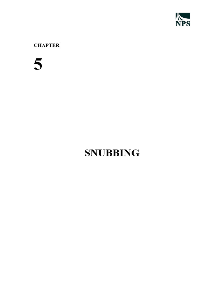 Snubbing Techniques & Equipment Guide | PDF | Casing (Borehole) | Valve