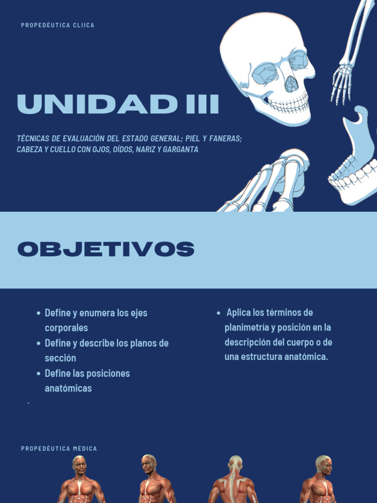 Ejes y Planos en Anatomía Clínica | PDF | Mano | Pie