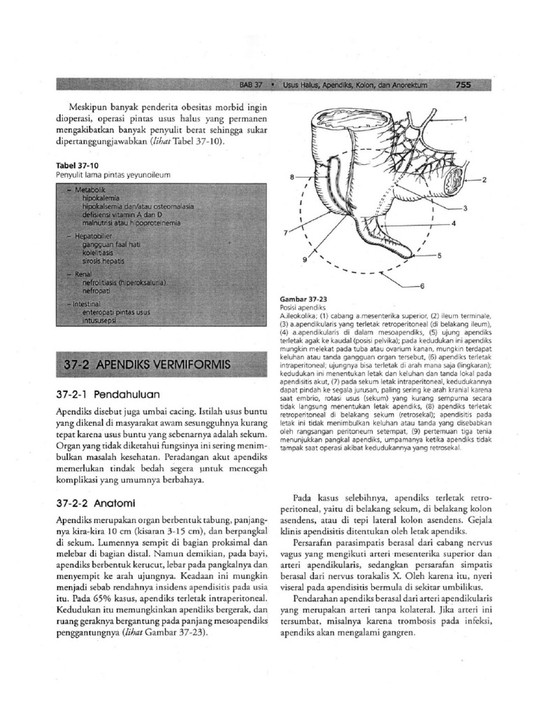 Appendisitis de Jong | PDF