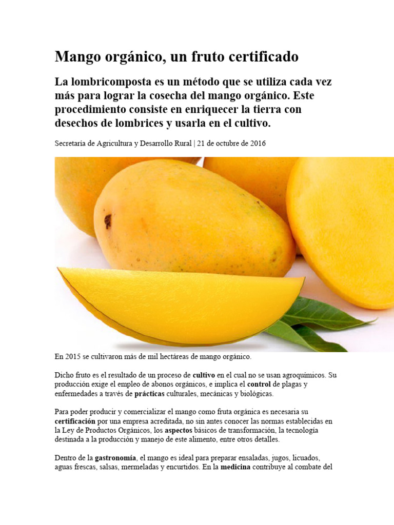 Mango Orgánico | PDF | Alimentos | Agricultura