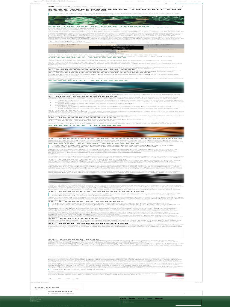 22 Flow Triggers - The Ultimate Peak Performance Toolkit For Hacking Flow | PDF | Risk | Flow ...