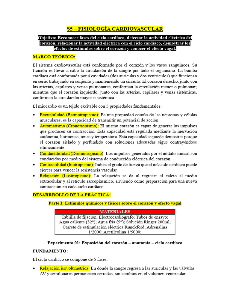 Informe S5 | Descargar gratis PDF | Corazón | Sistema circulatorio
