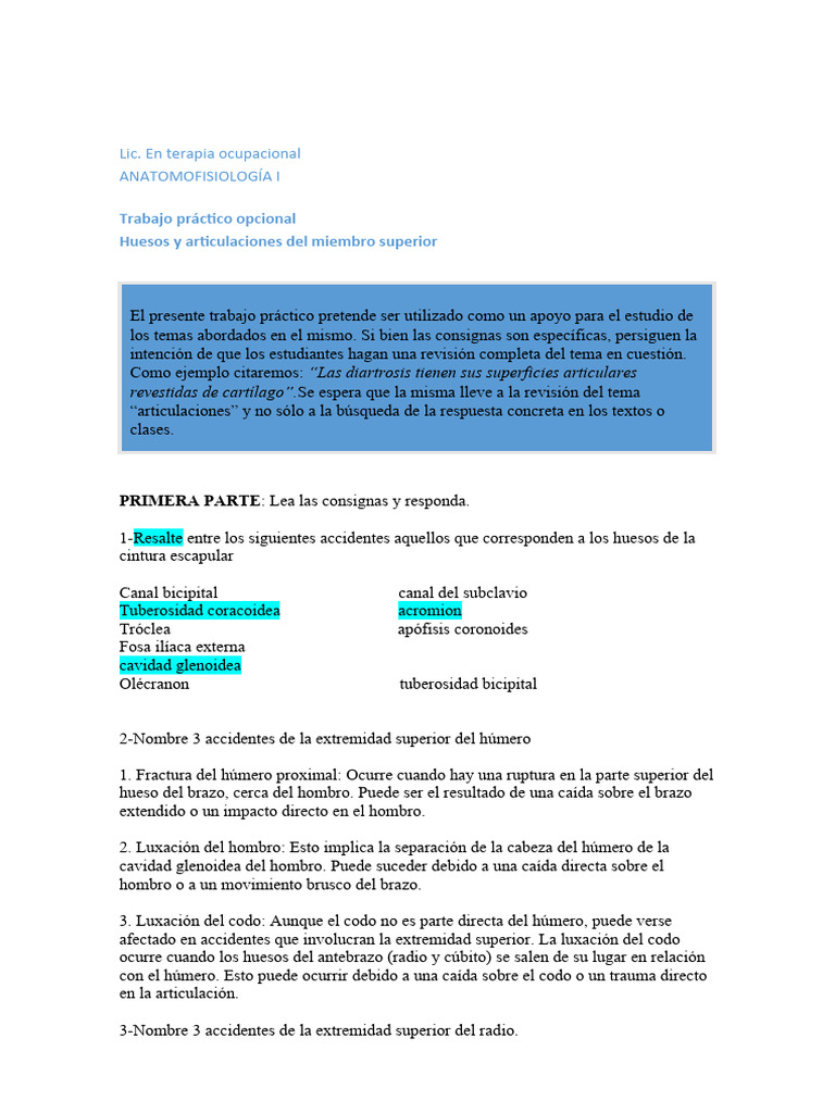 Repaso Huesos y Articulaciones MS | PDF | Articulación | Hombro