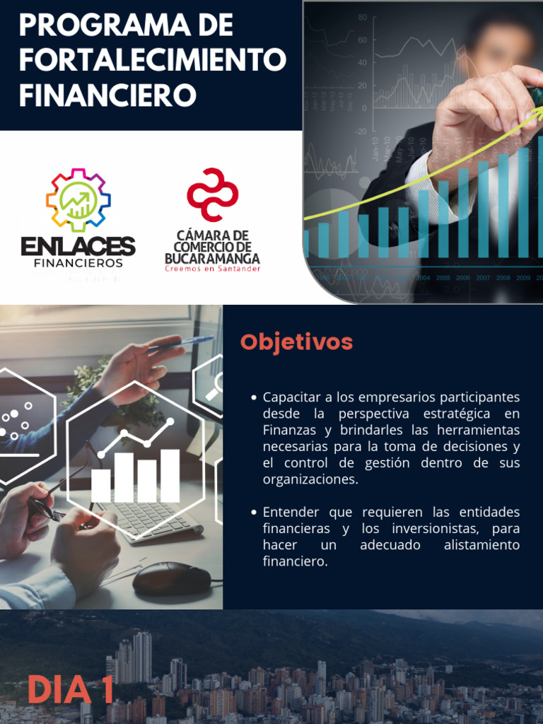 0 .Programa Fortalecimiento Financiero | PDF | Business | Negocios ...