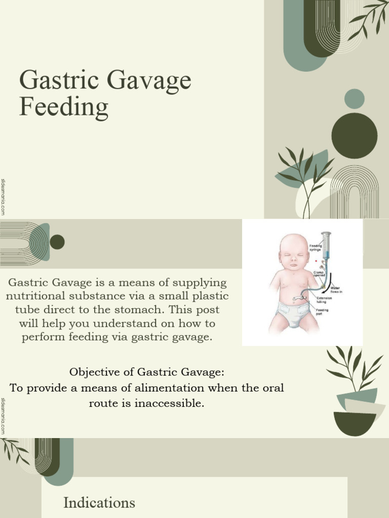 Gastric Gavage Lavage | PDF | Stomach | Medicine
