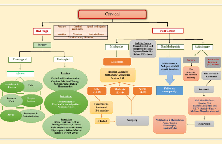 Cervical Map | PDF | Medical Specialties | Medicine