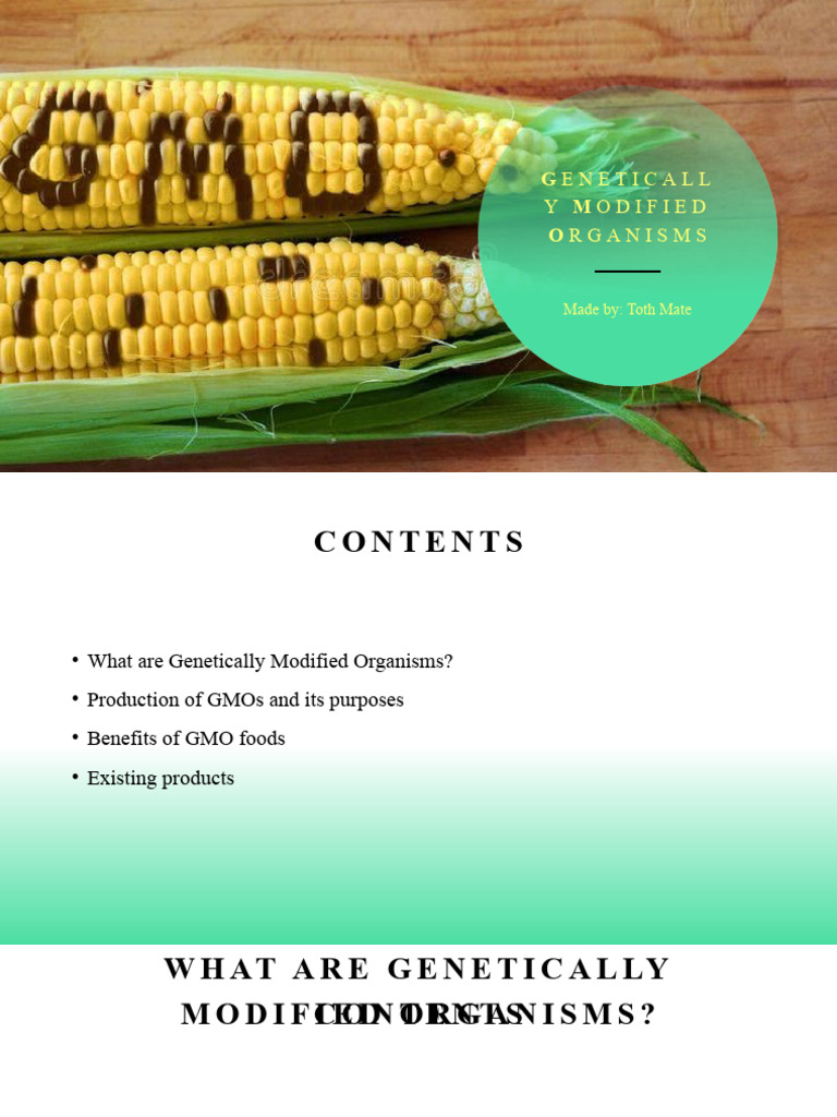 Genetically Modified Organisms | PDF | Genetic Engineering ...