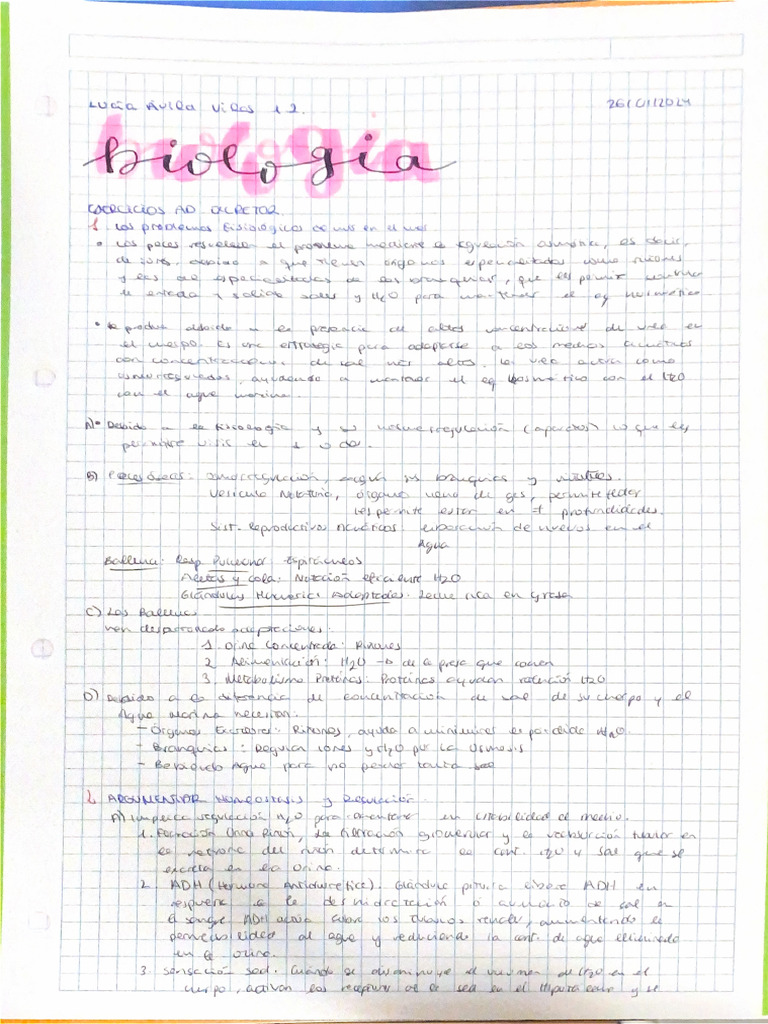 Ejercicios Aparato Excretor (26 Ene 2024 A La(s) 1843) | PDF