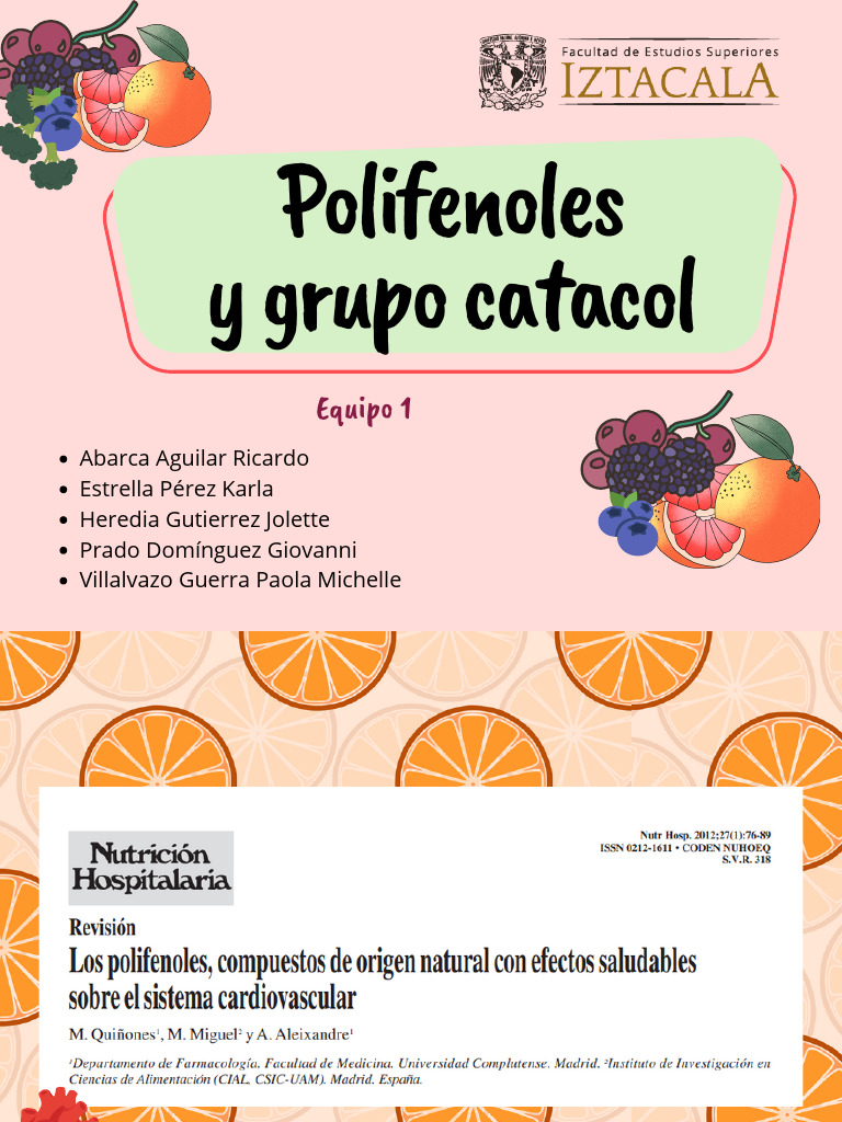 Polifenoles y Grupo Catecol | Descargar gratis PDF | Flavonoide ...