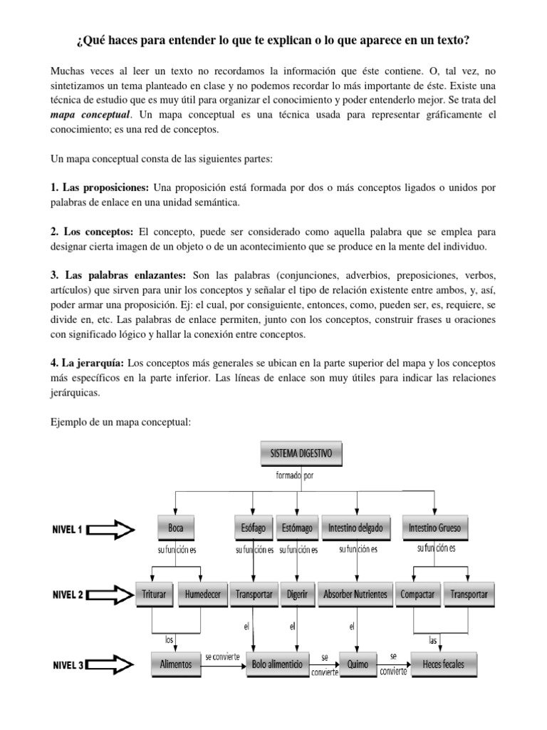 Mapa Conceptual | PDF